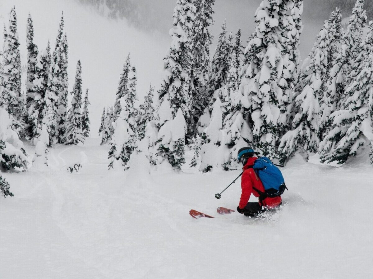 Ski Touring In Rogers Pass, BC: All You Need To Know - The Uptrack